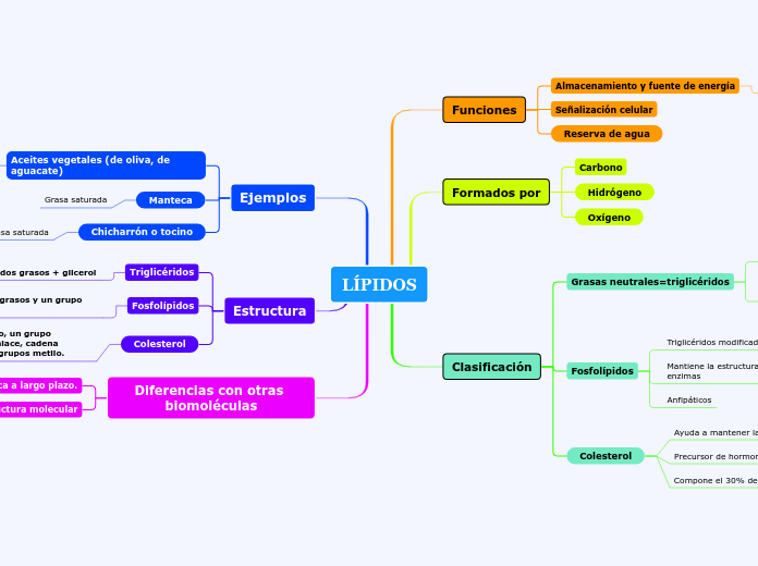 LÍPIDOS - Mind Map